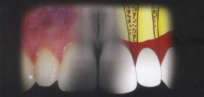 Guide clinique d'odontologie