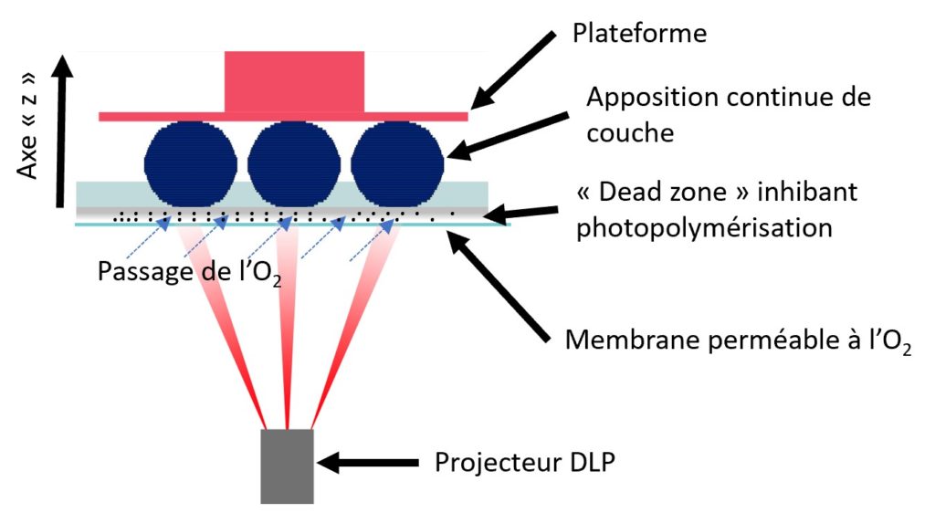 LES TECHNOLOGIES DE PHOTOPOLYMÉRISATION EN CUVE - LEFILDENTAIRE ...
